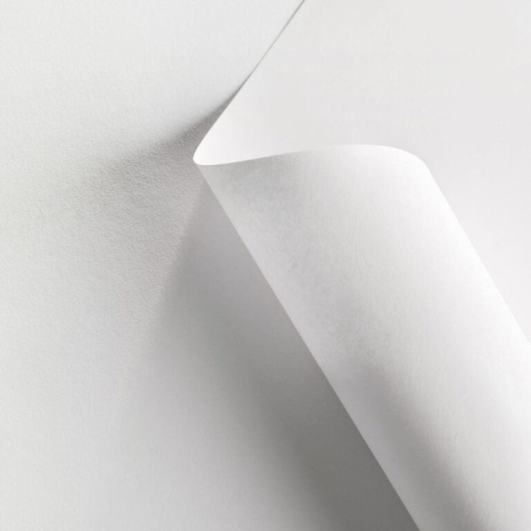 Opalina - Papeles Omega